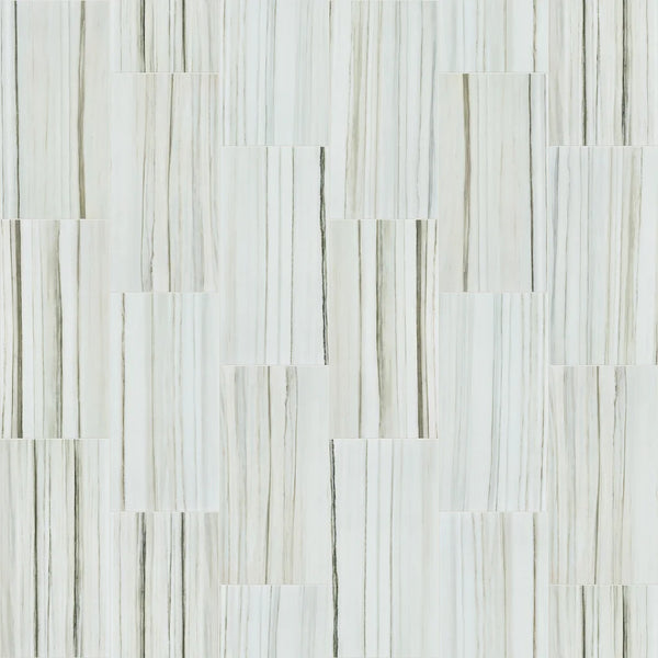 Shaw Tile Range Zebrino 12x24 Polish – Flooring Market