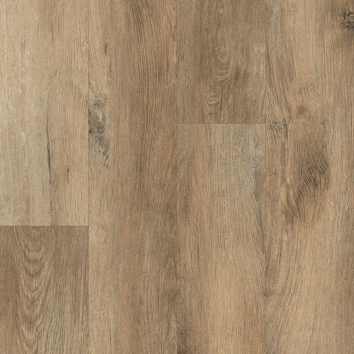 Paramount Signature WPC Bison Sample – Flooring Market