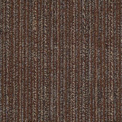 Shaw Carpet Tile Mesh Weave Clove – Flooring Market