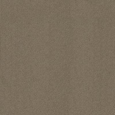 Shaw Carpet Tile Color Accents Portabella – Flooring Market